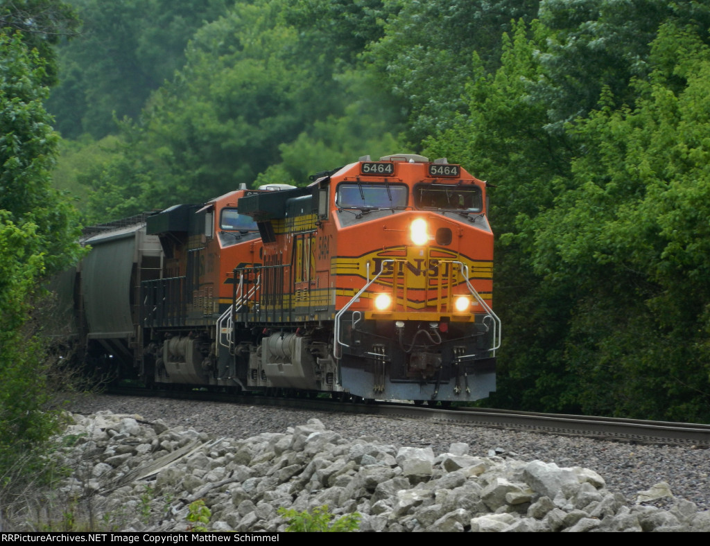 Popping Out Of The Trees